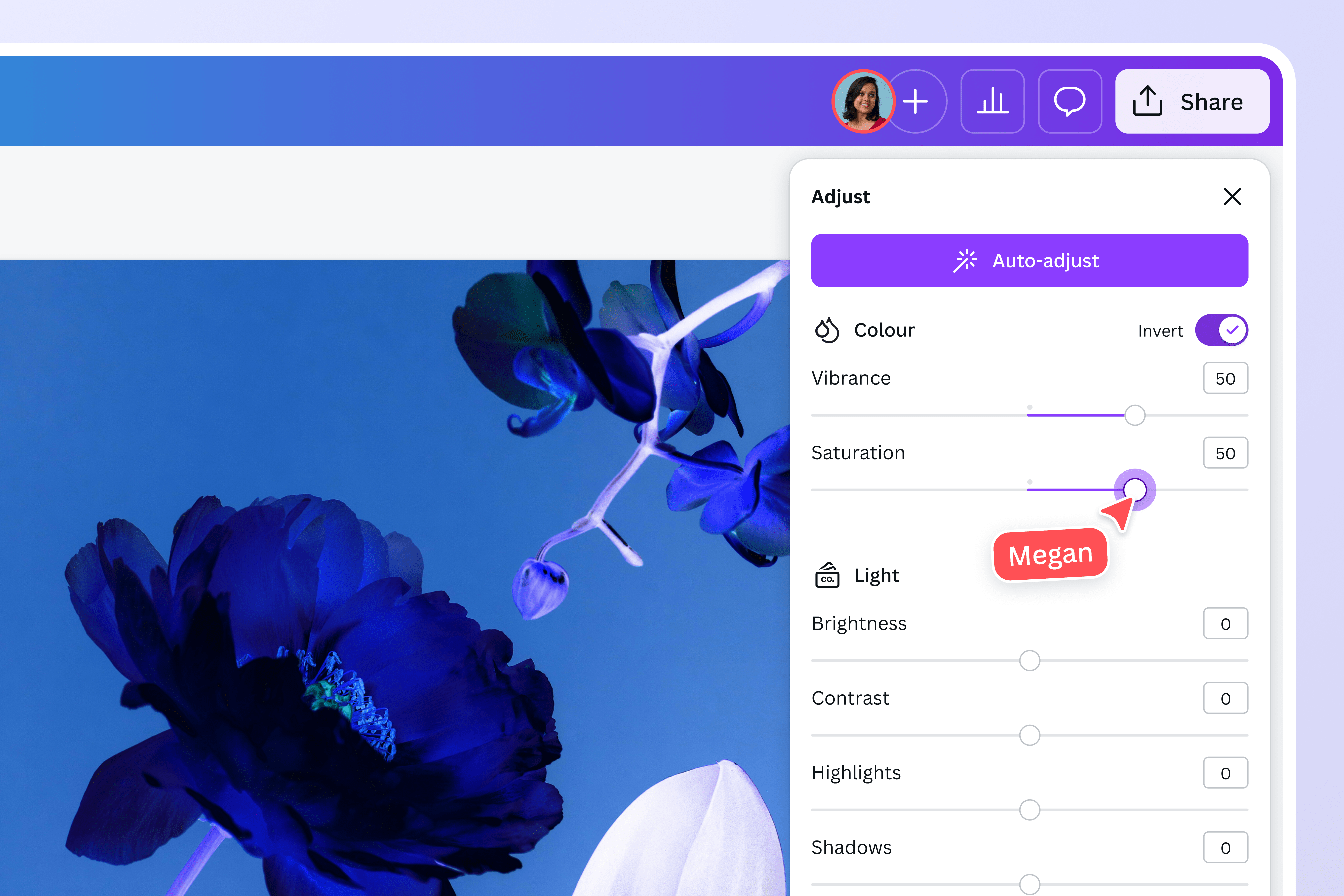 Inversez les couleurs d’une image en ligne gratuitement | Canva