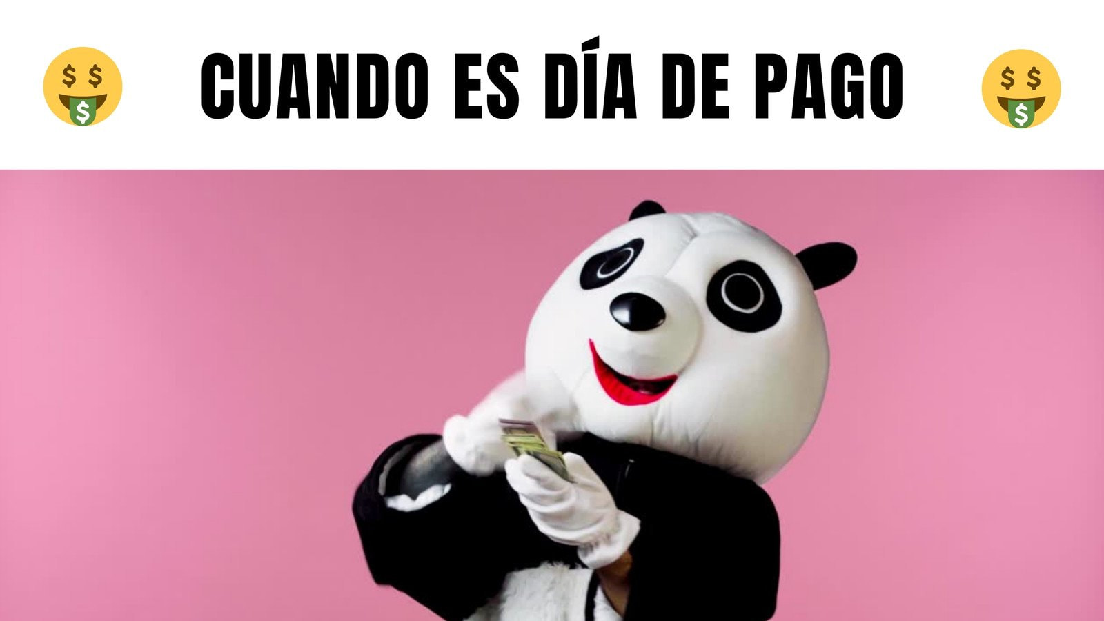 Programa Para Escribir Memes