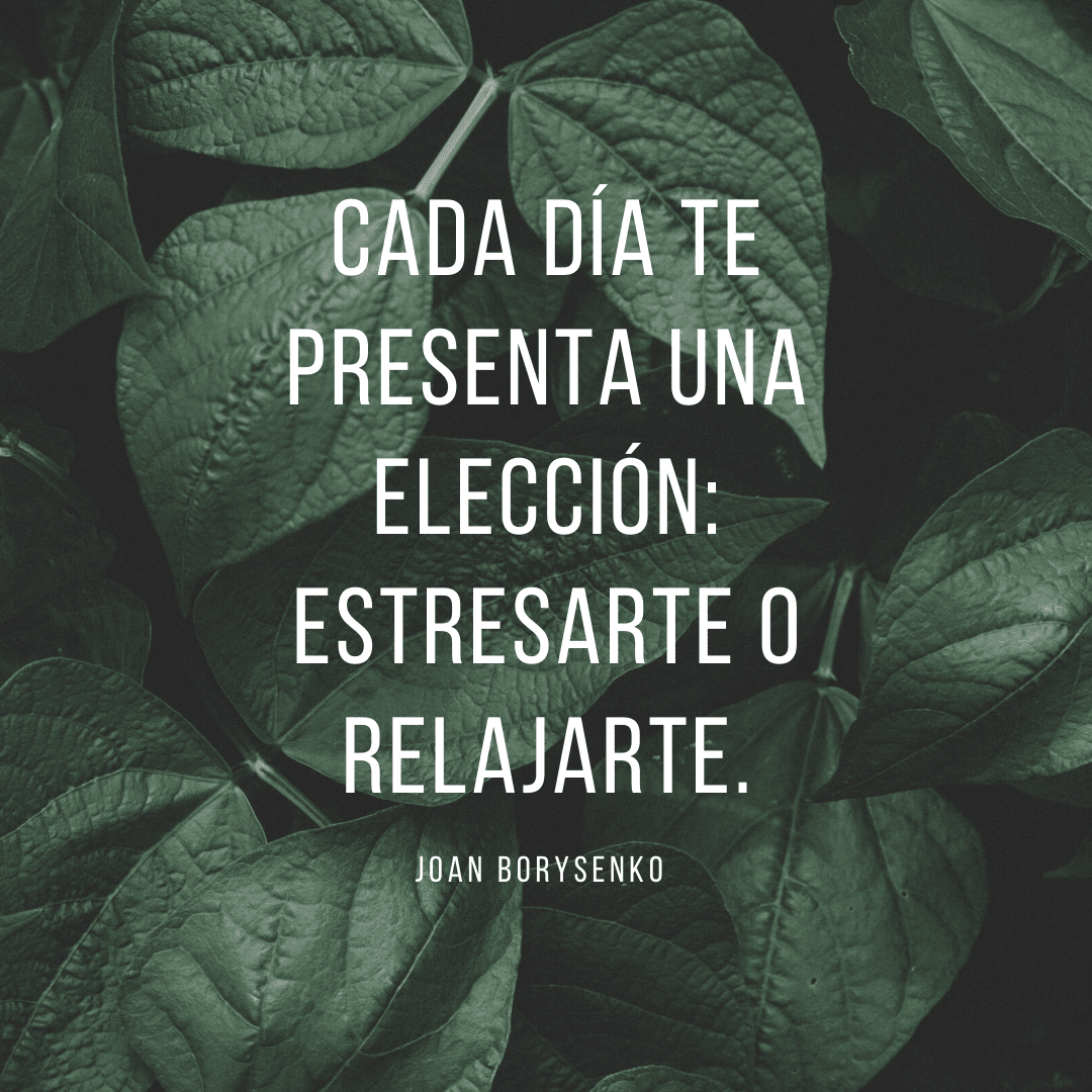 30 frases para cuando sientas mucho estrés | Canva