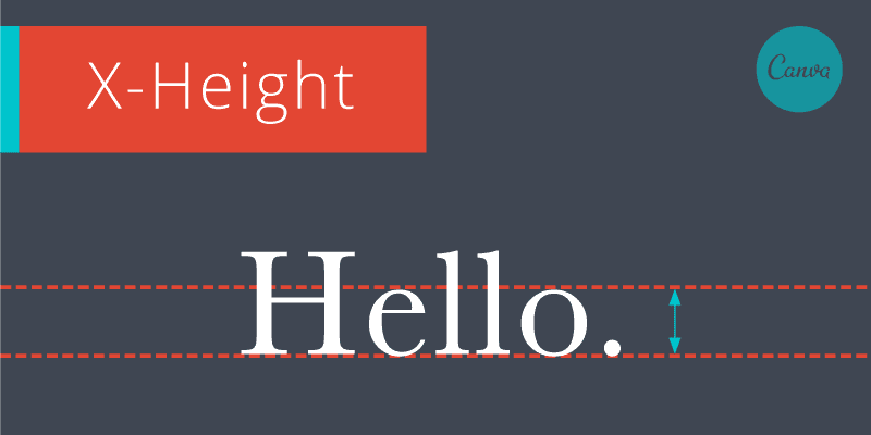 A beautifully illustrated glossary of typographic terms you should | Canva