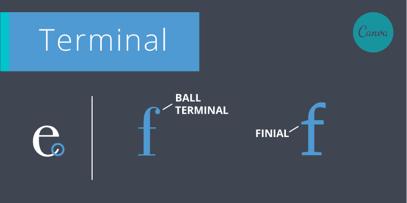 A beautifully illustrated glossary of typographic terms you should | Canva