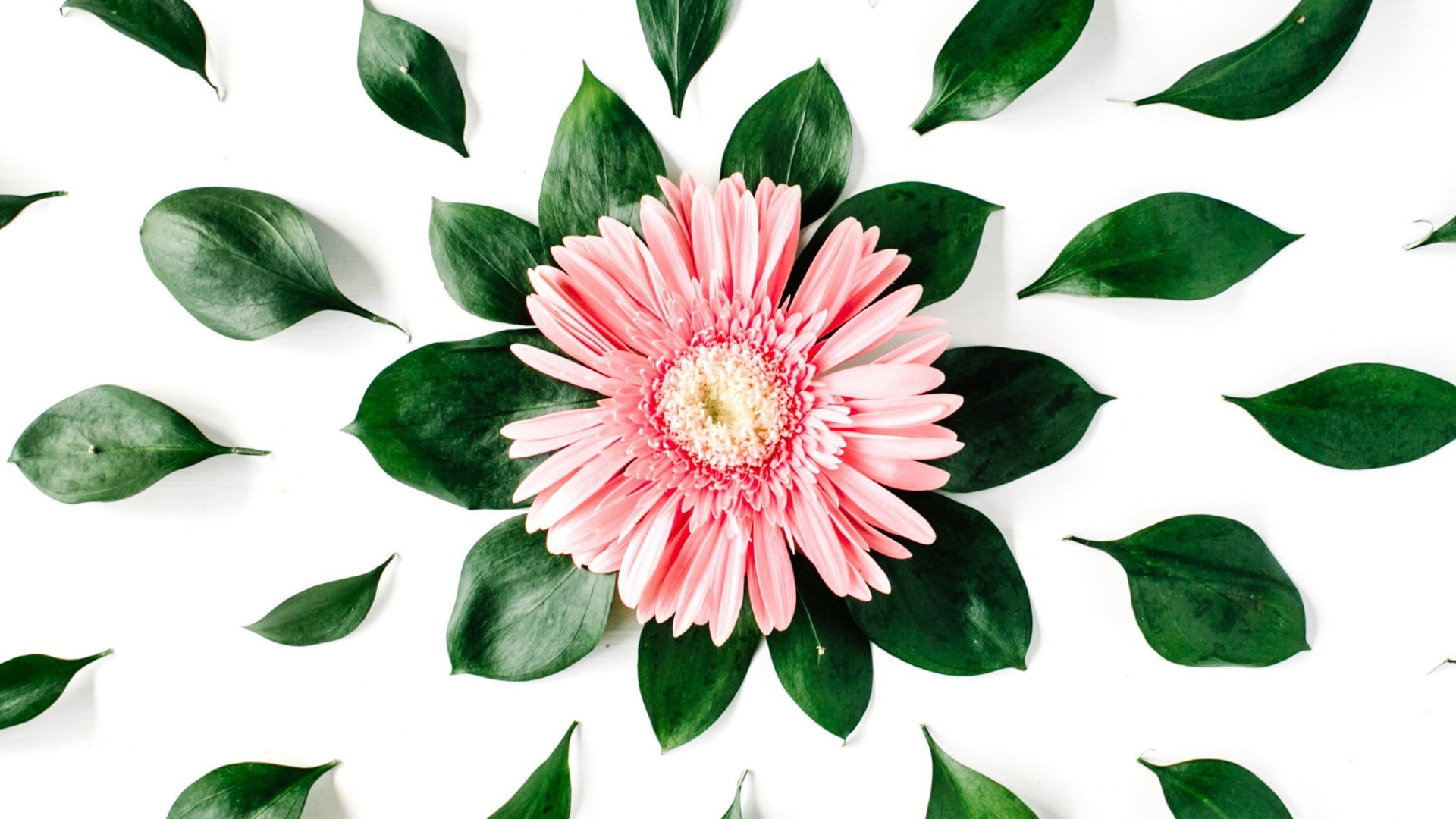 10 rules of composition all designers live by | Canva