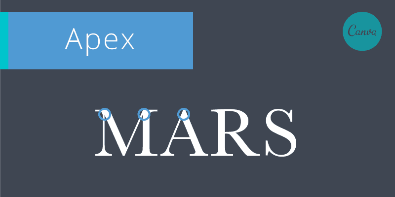 A beautifully illustrated glossary of typographic terms you should | Canva