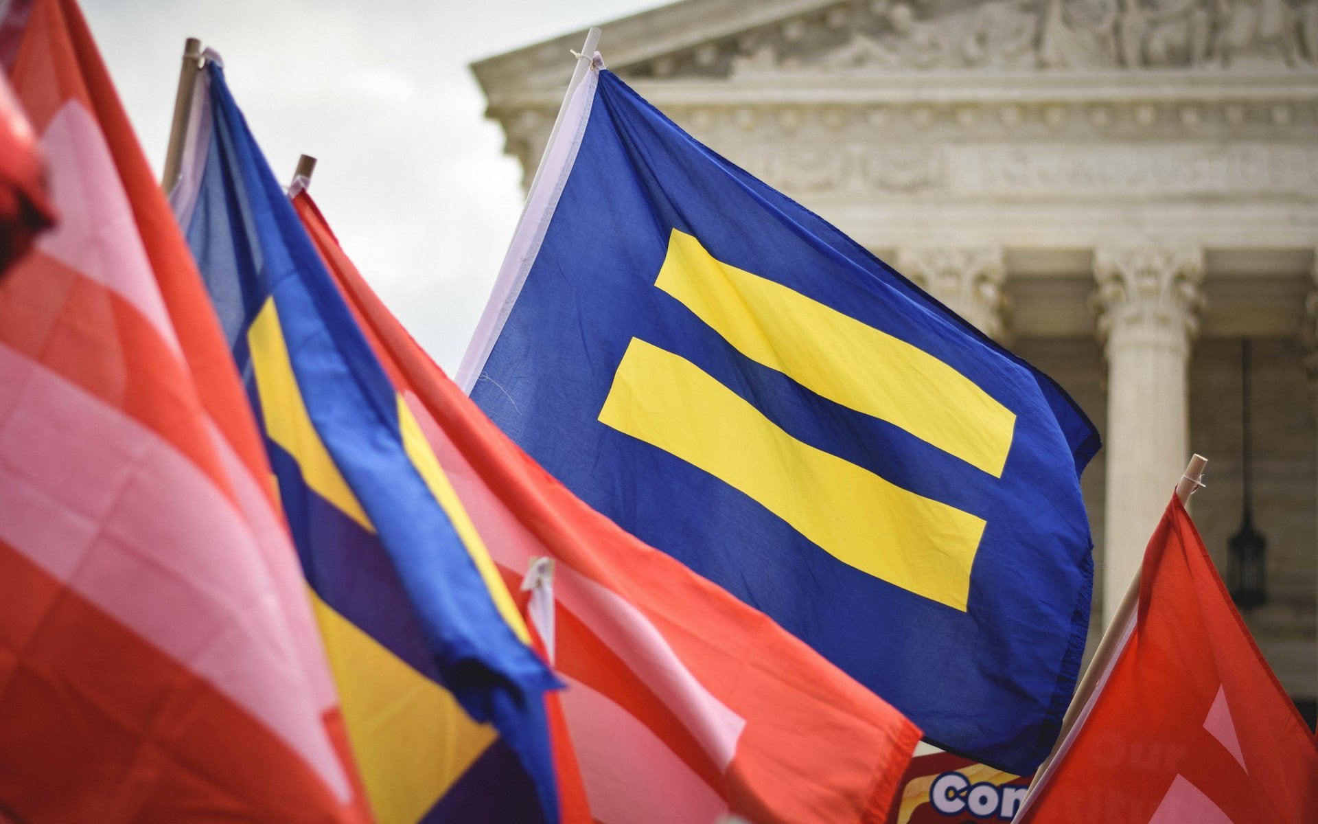 HRC equal sign logo: How it went viral | Canva