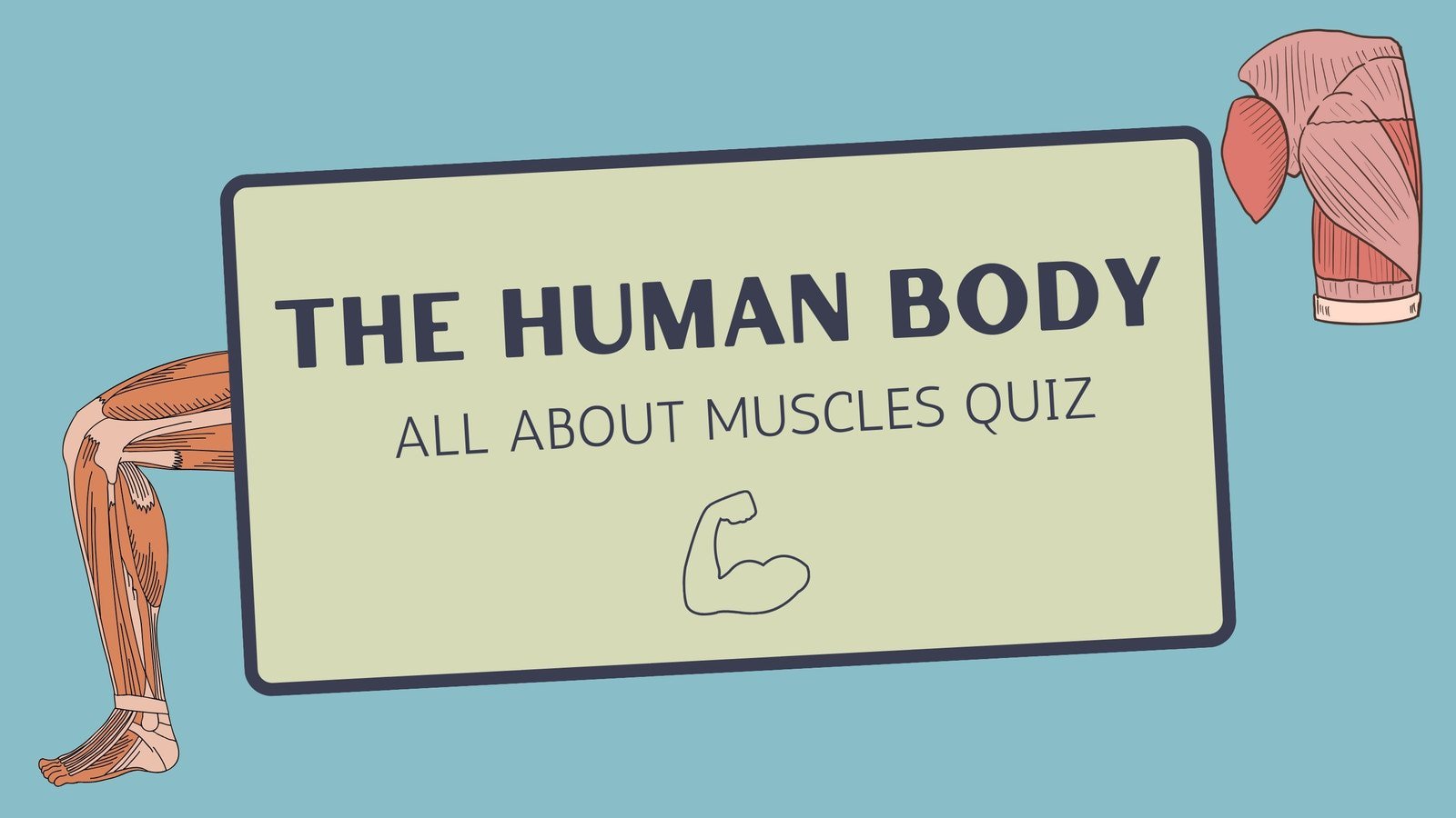 Crea un quizz en línea gratis | Canva