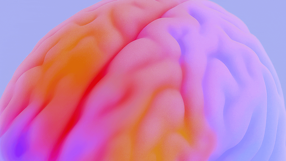 Introducing Visual Suite 2.0: Productivity, meet creativity
