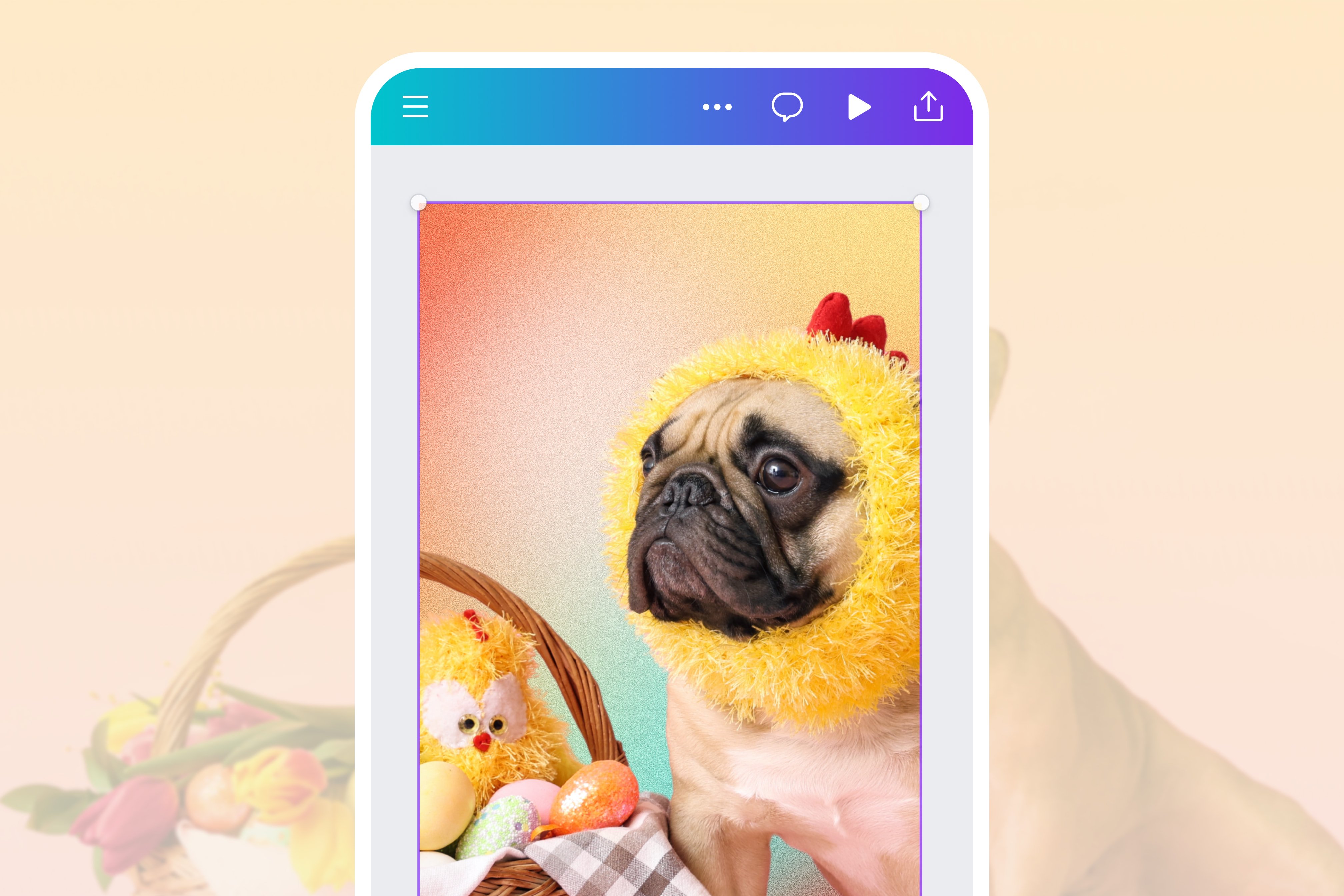 Hapus Background Video: Penghapus Latar Video Online | Canva
