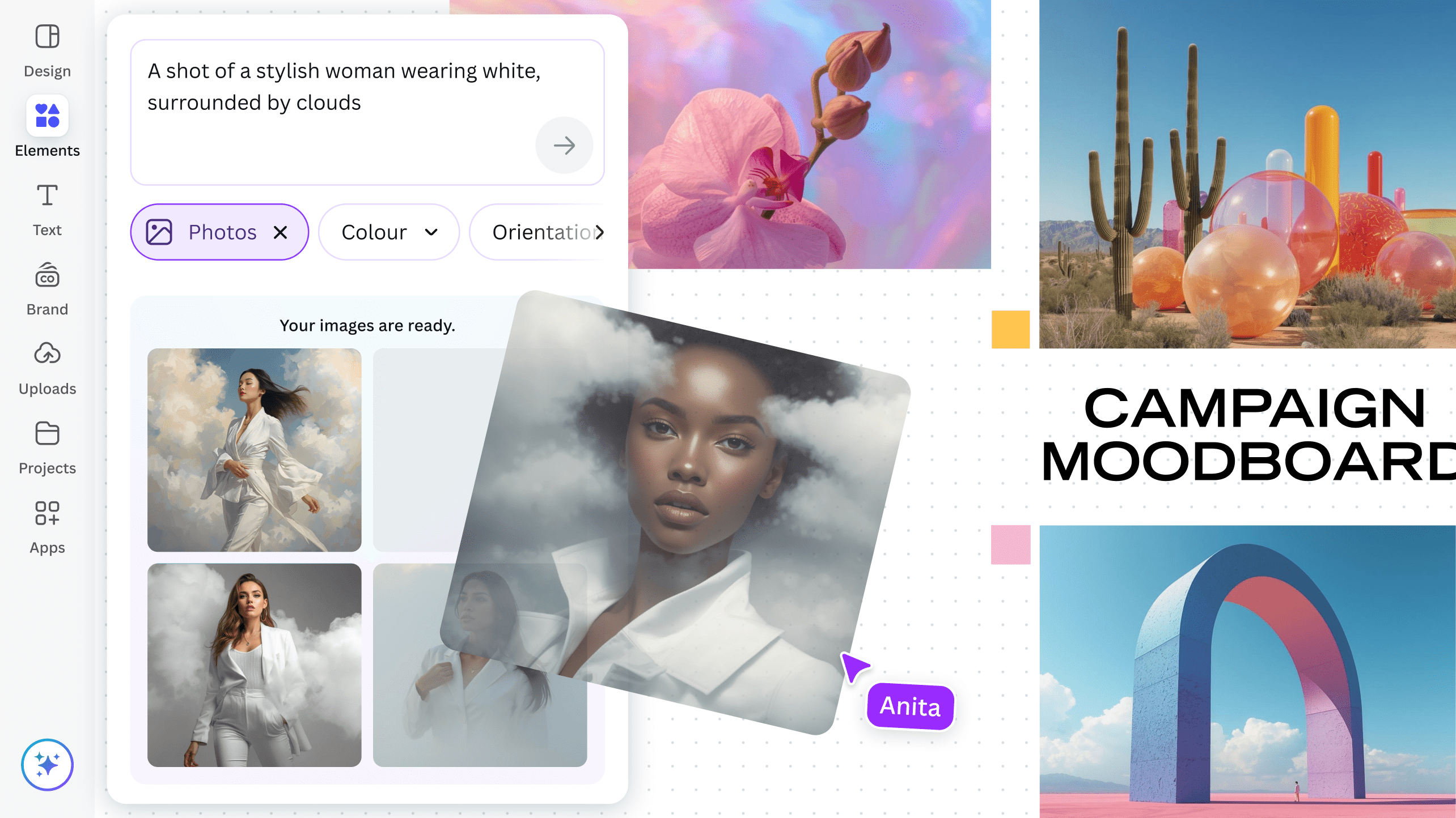 Discover our latest launches | Canva