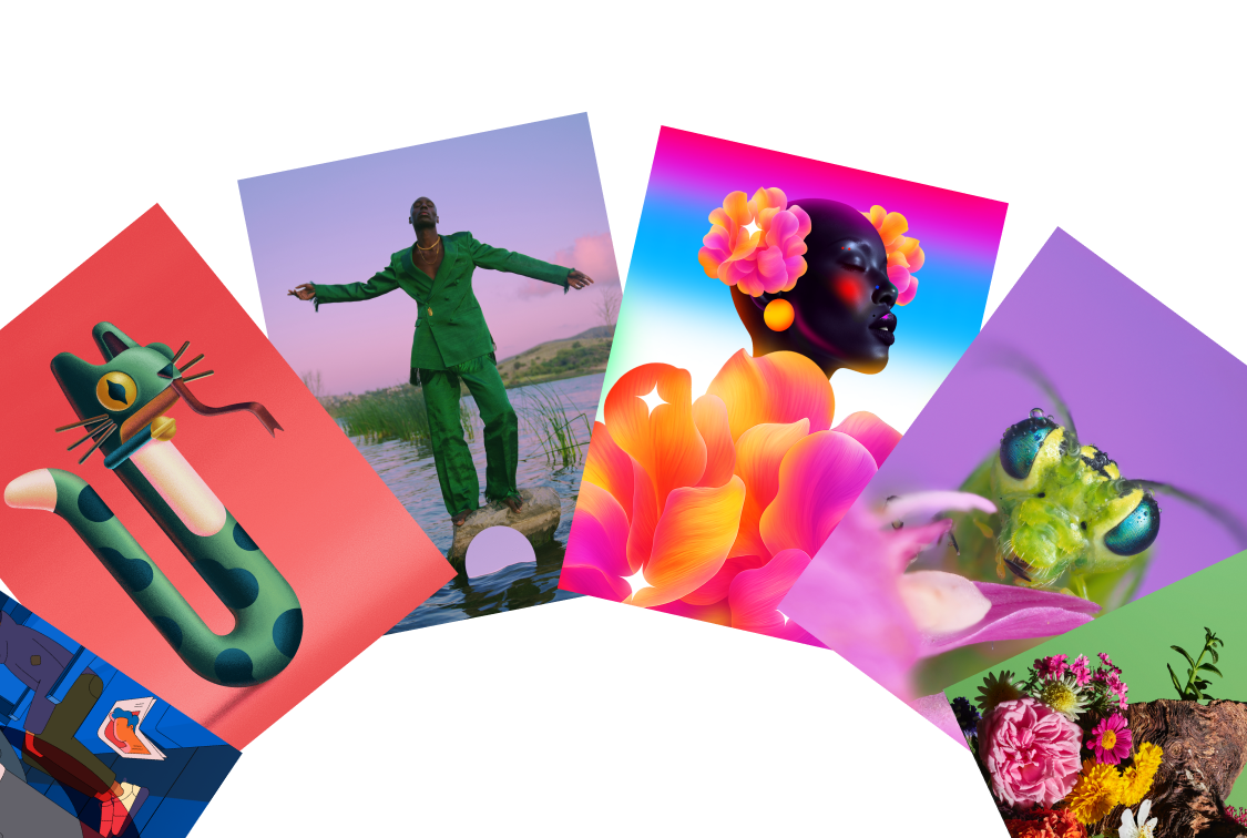 Discover our latest launches | Canva