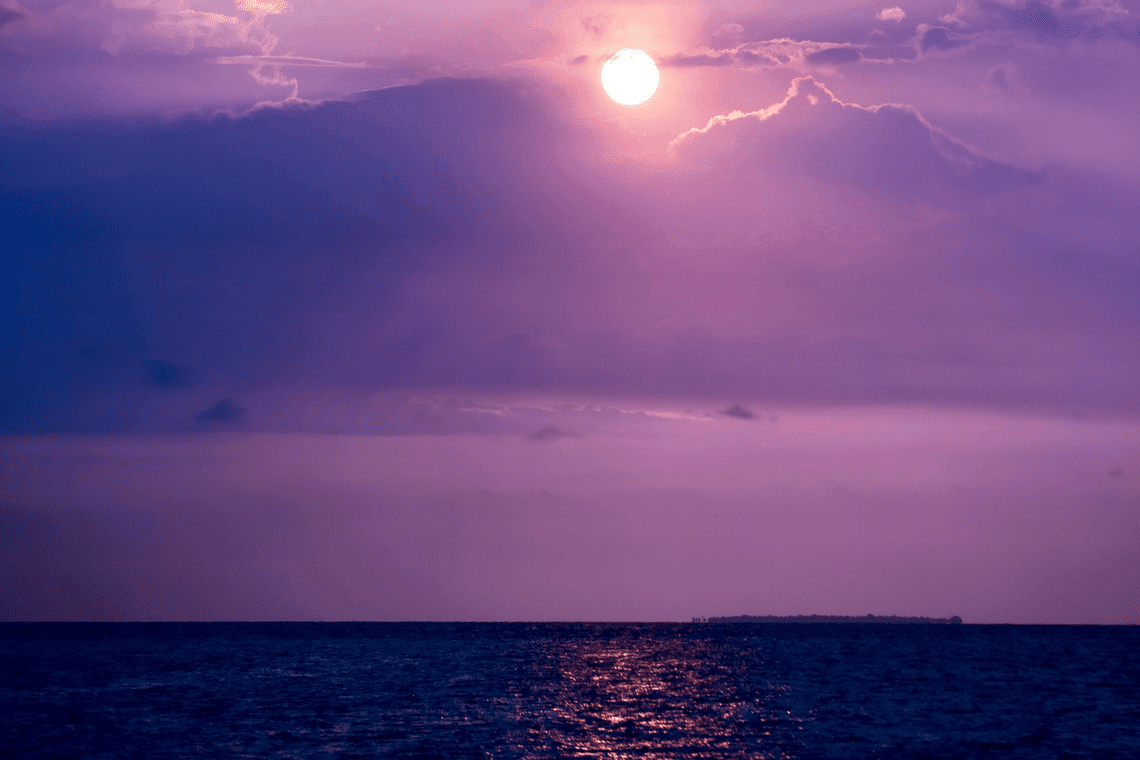 Color Combination Morning Sun - Canva's Design Wiki