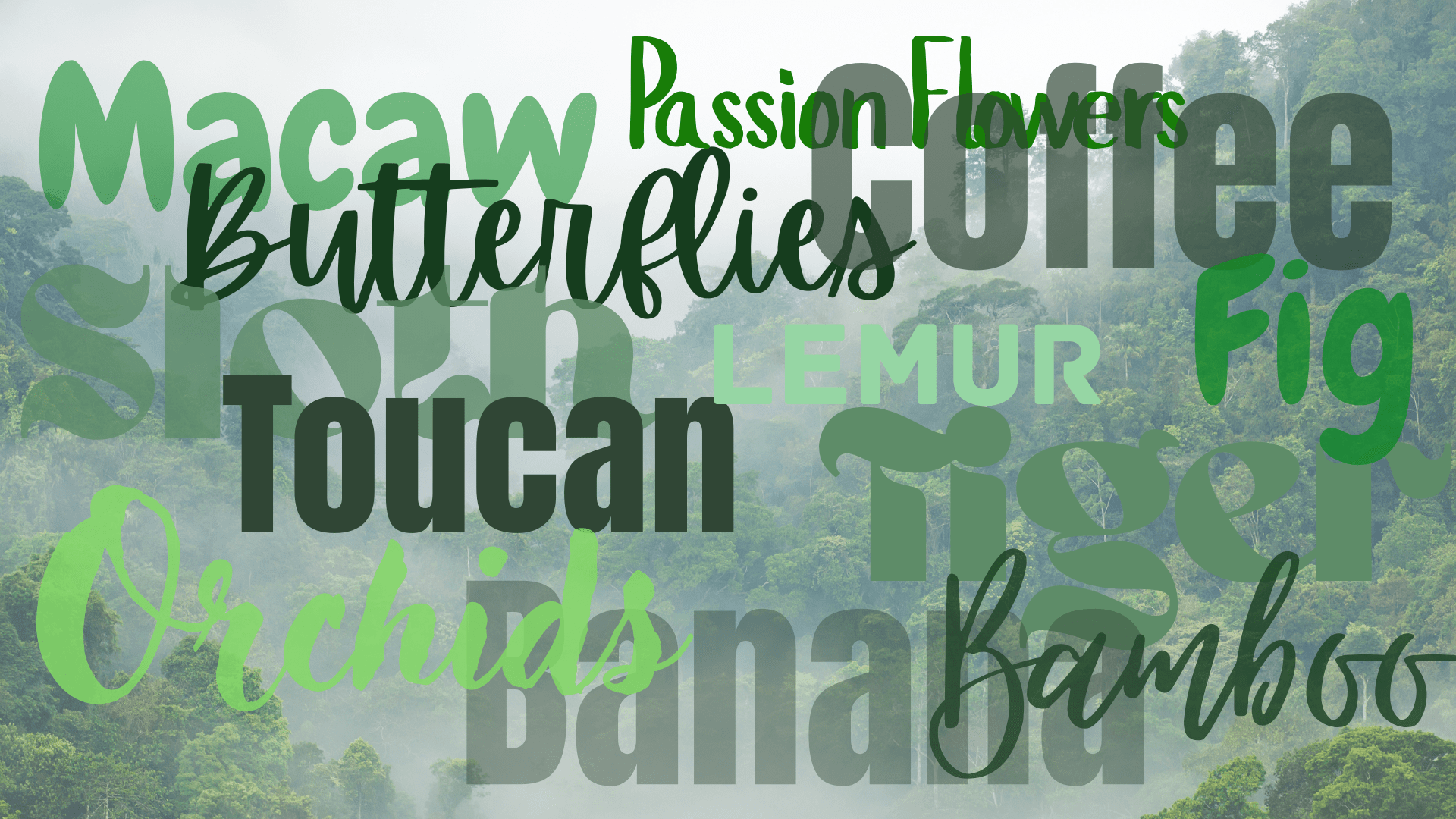 Canva Classroom Recipe: Designing theme-based word collages