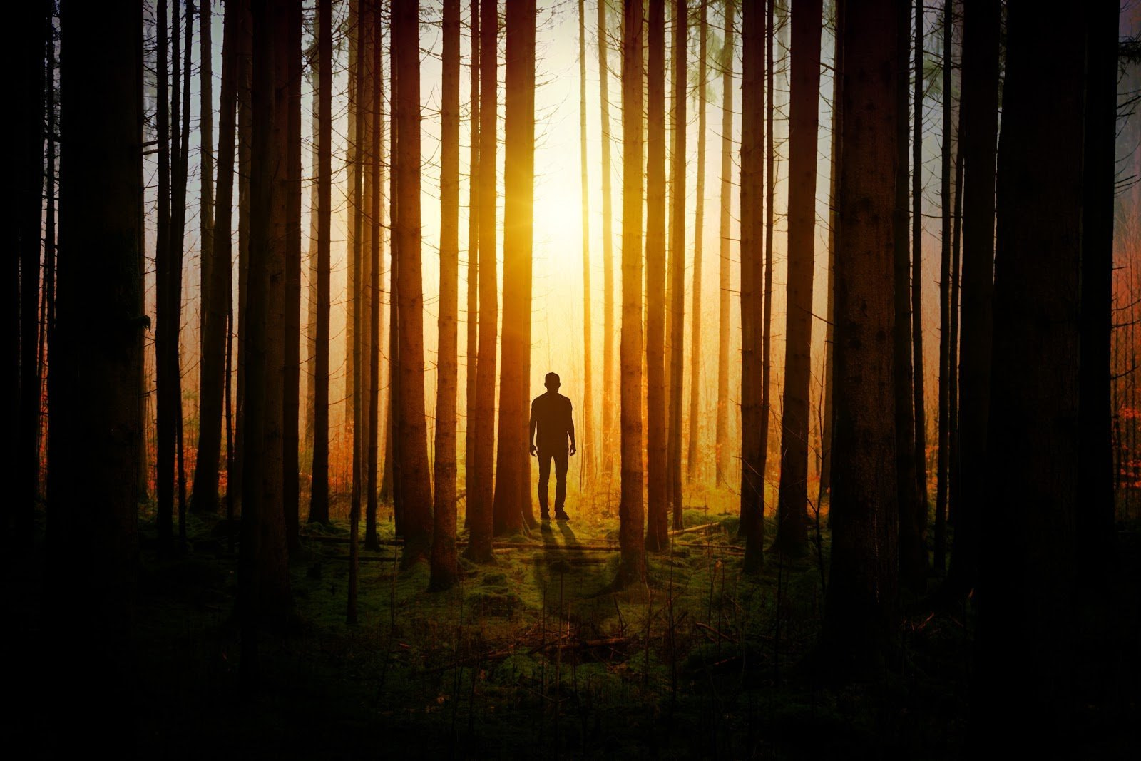8 tips to give your photos an authentic, cinematic feel