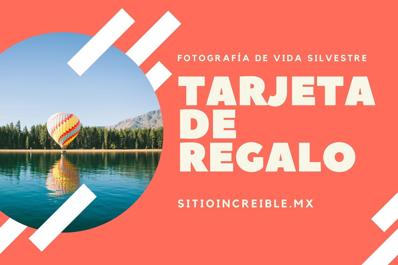 Crea certificados / tarjetas de regalo online gratis - Canva
