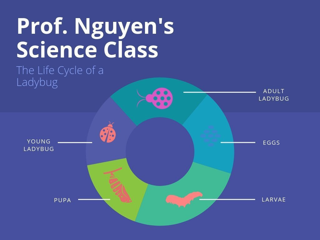 Membuat Grafik Diagram Siklus Secara Online - Canva