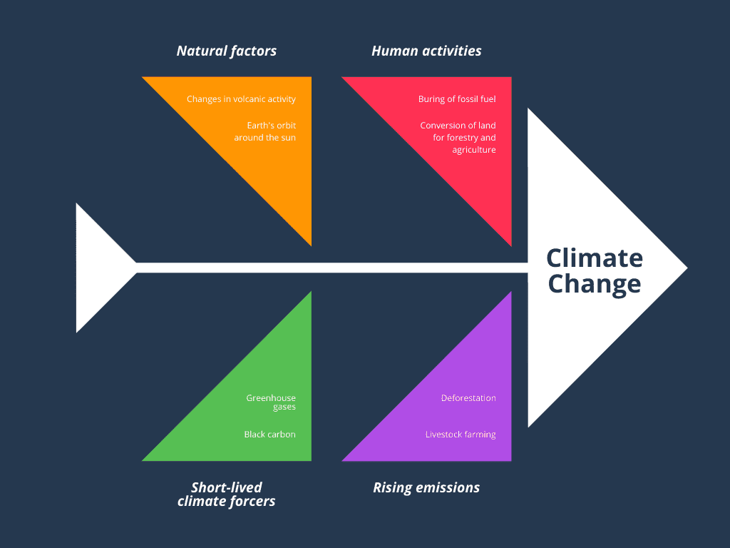 Creá tu diagrama de Ishikawa gratis en línea con Canva