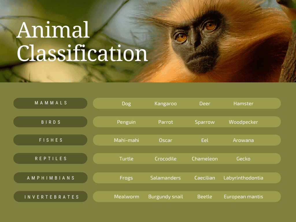 Free Concept Map Maker and Examples Online | Canva