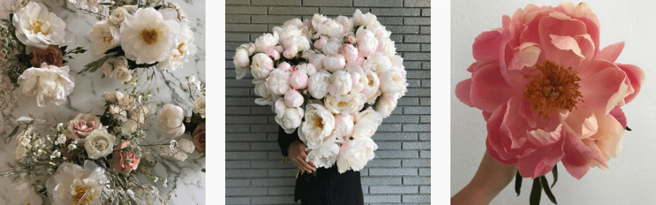 7 tips on using Instagram to attract your ideal clients