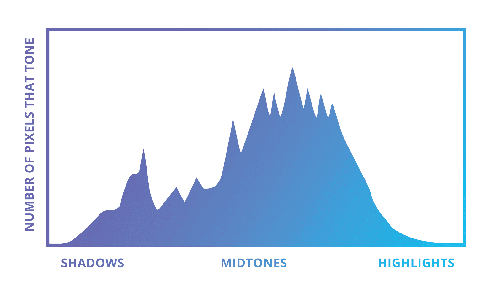 The sacred trinity of photography: What you need to know about aperture ...
