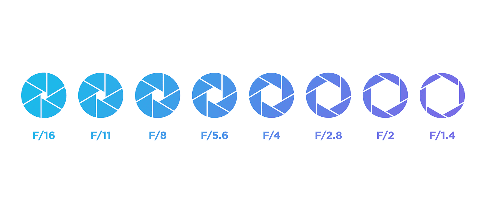 The sacred trinity of photography: What you need to know about aperture ...