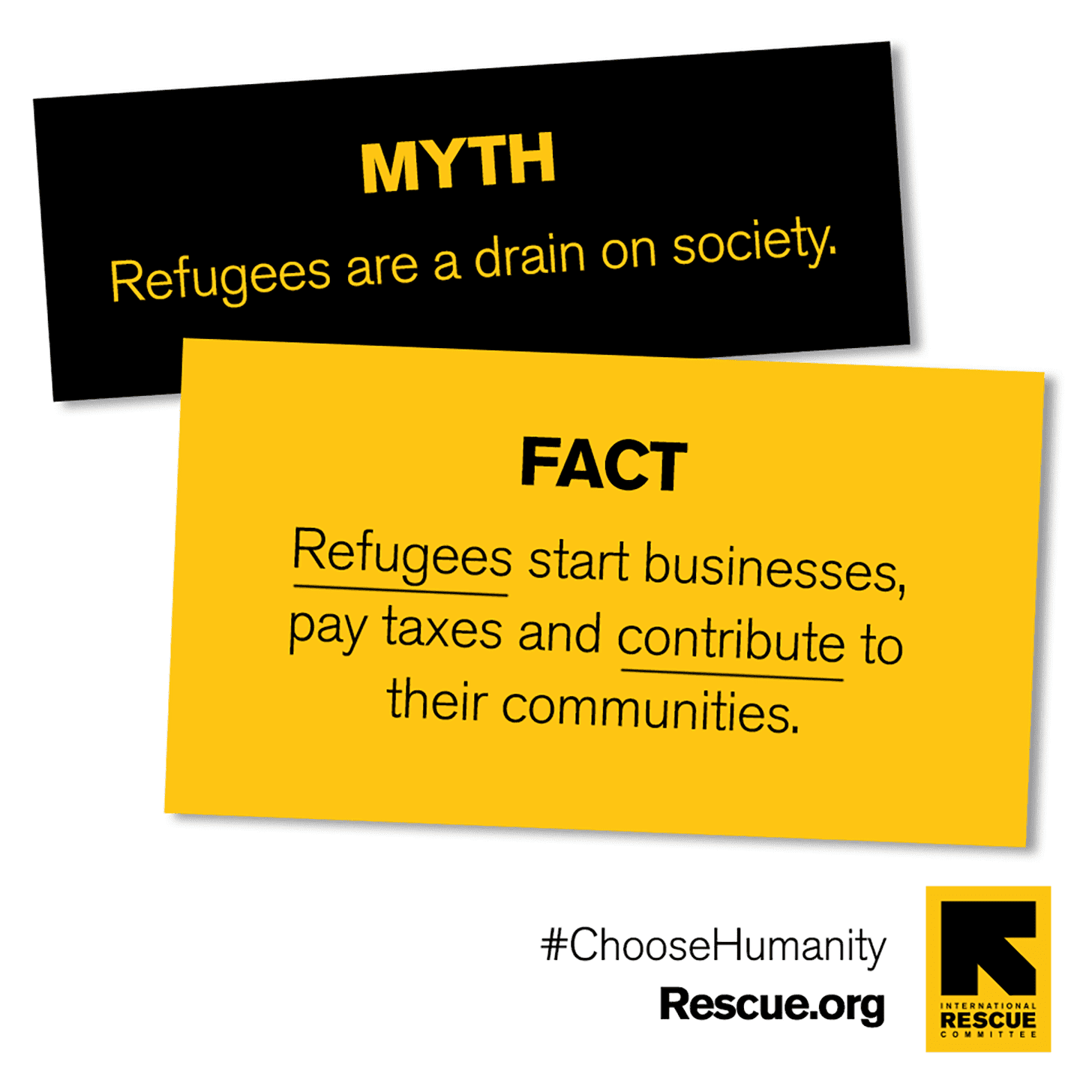 How one nonprofit designs thumb-stopping content for a social audience