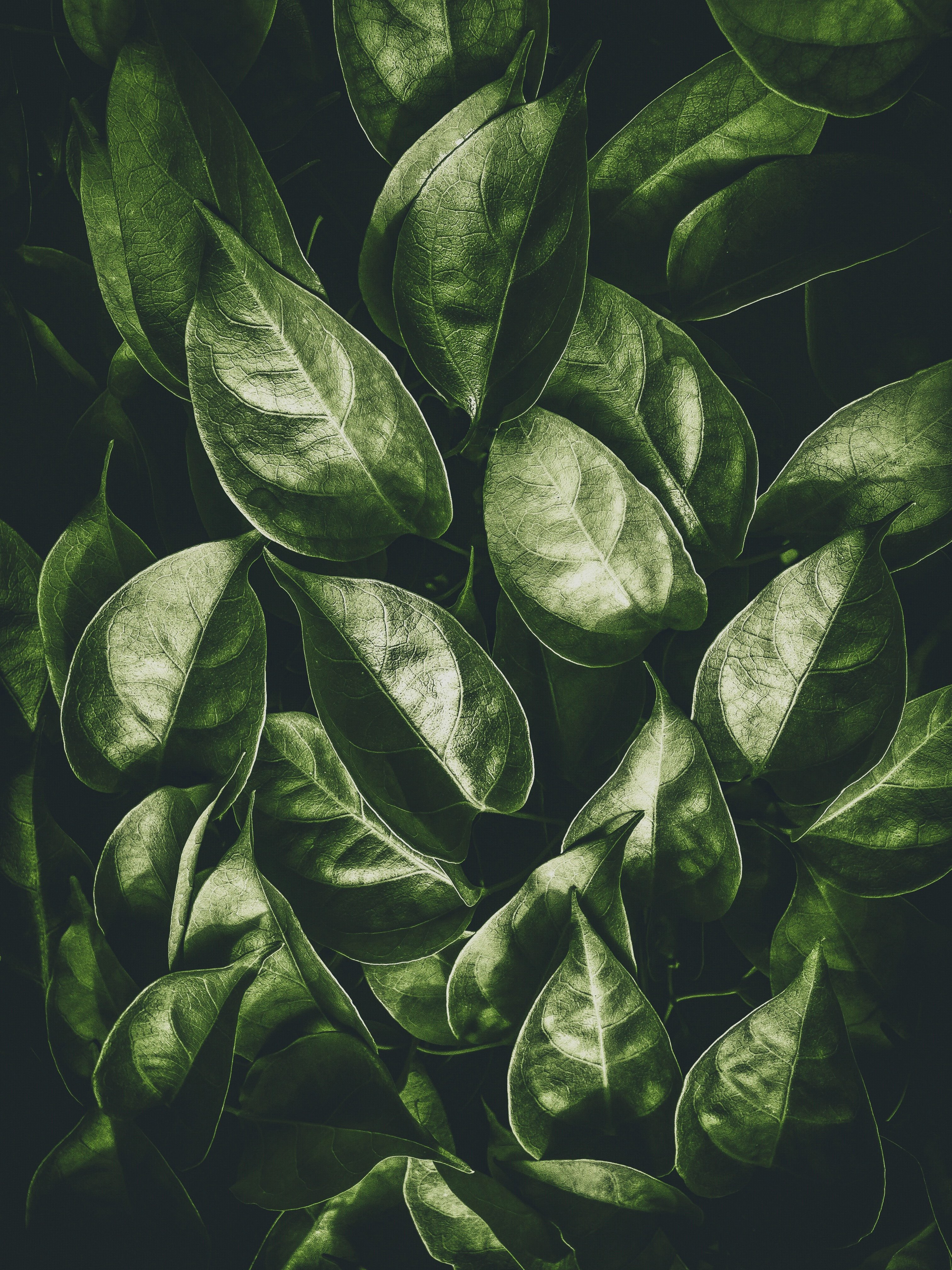 10 mobile photography tips to improve your social media feed