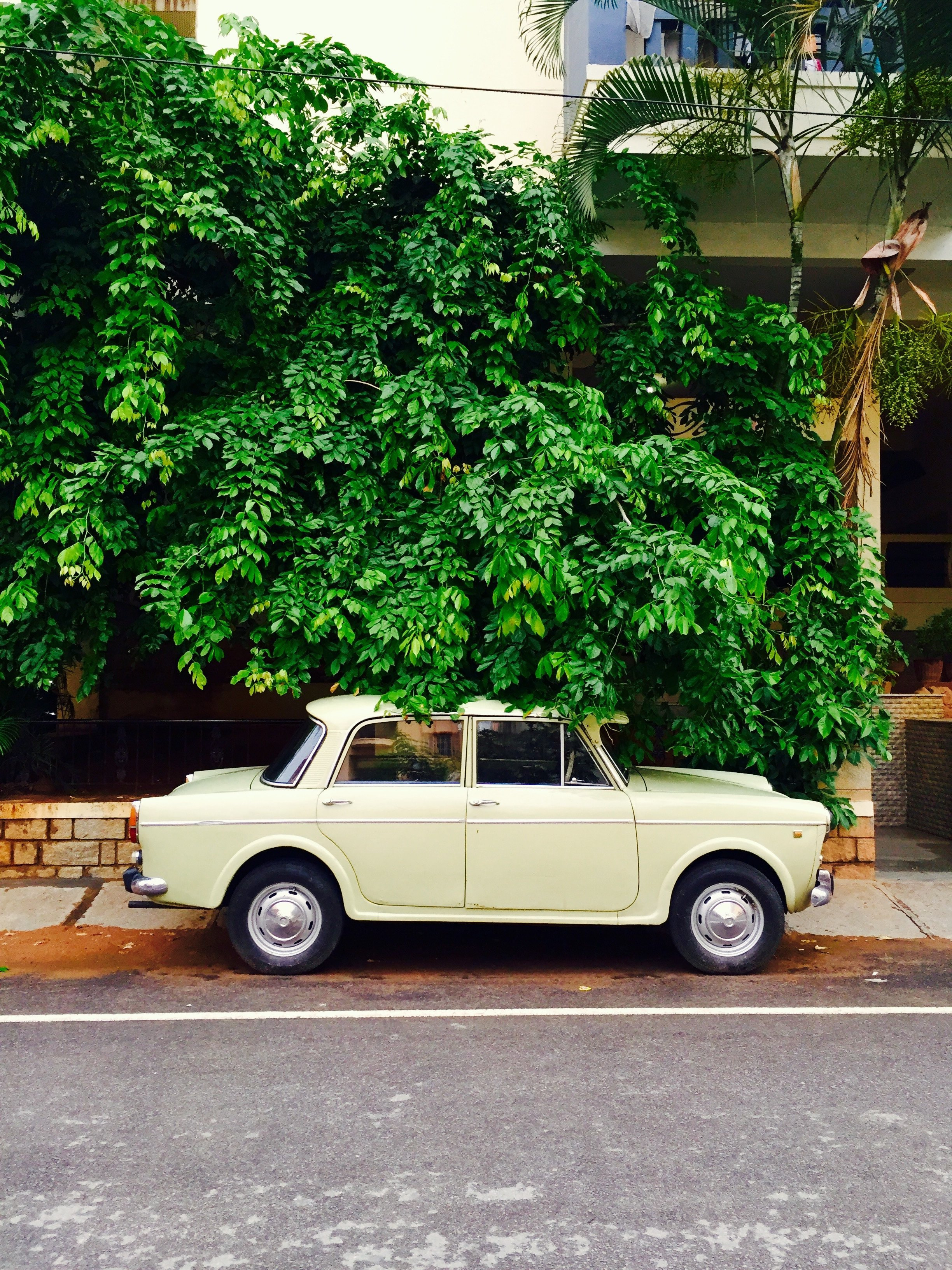 10 mobile photography tips to improve your social media feed