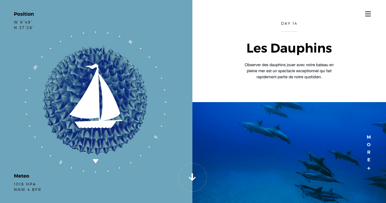 Best website layout ideas and examples