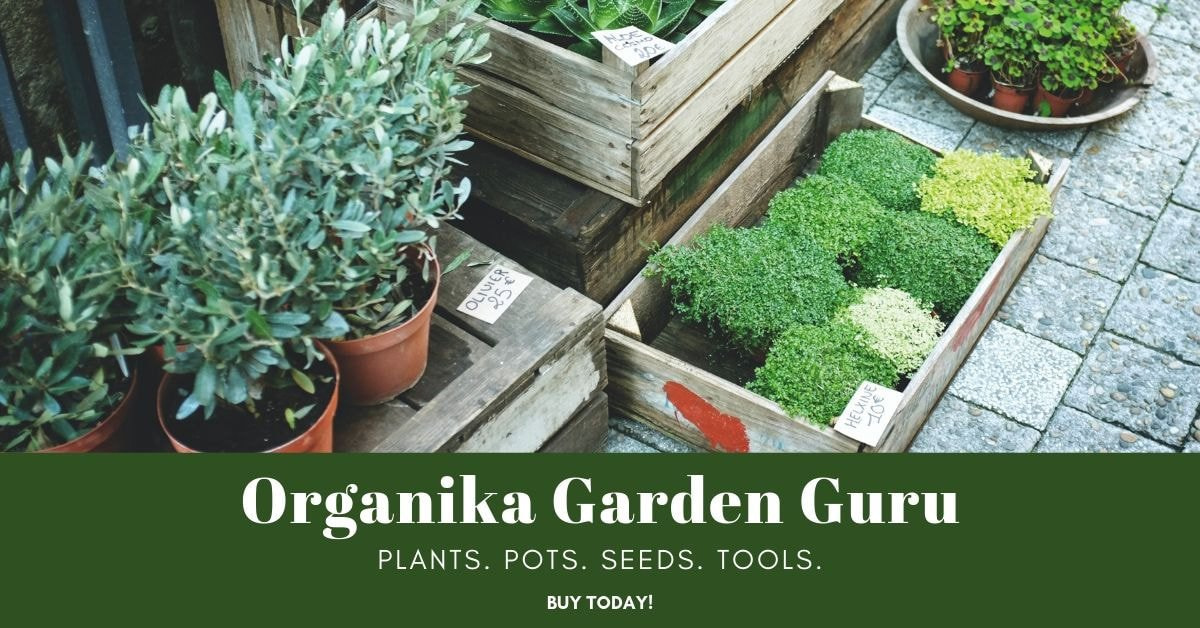 The ultimate guide to Facebook marketing