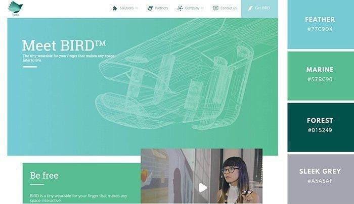 Designer-approved website color schemes
