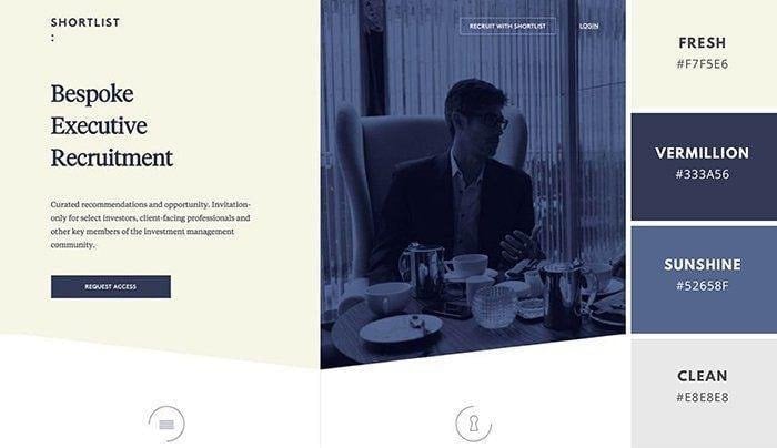 Designer-approved website color schemes
