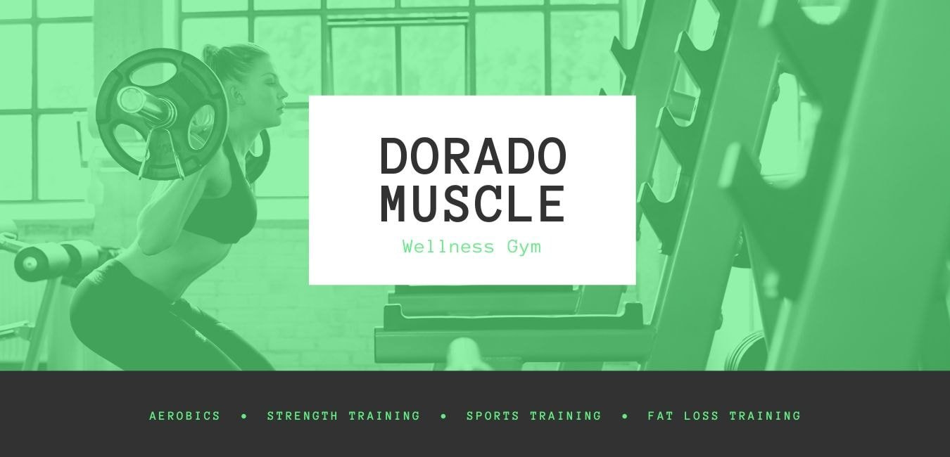 Designer-approved website color schemes