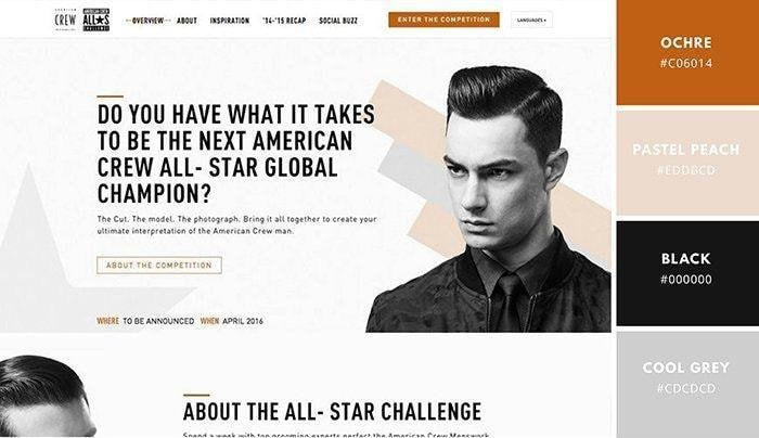 Designer-approved website color schemes
