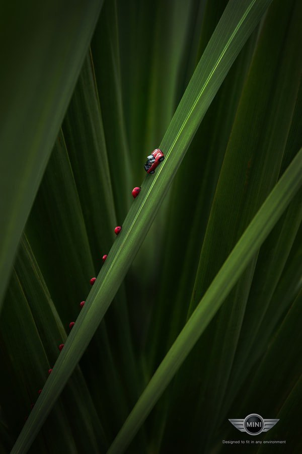 75 brilliant and inspirational advertisements that will change the way ...