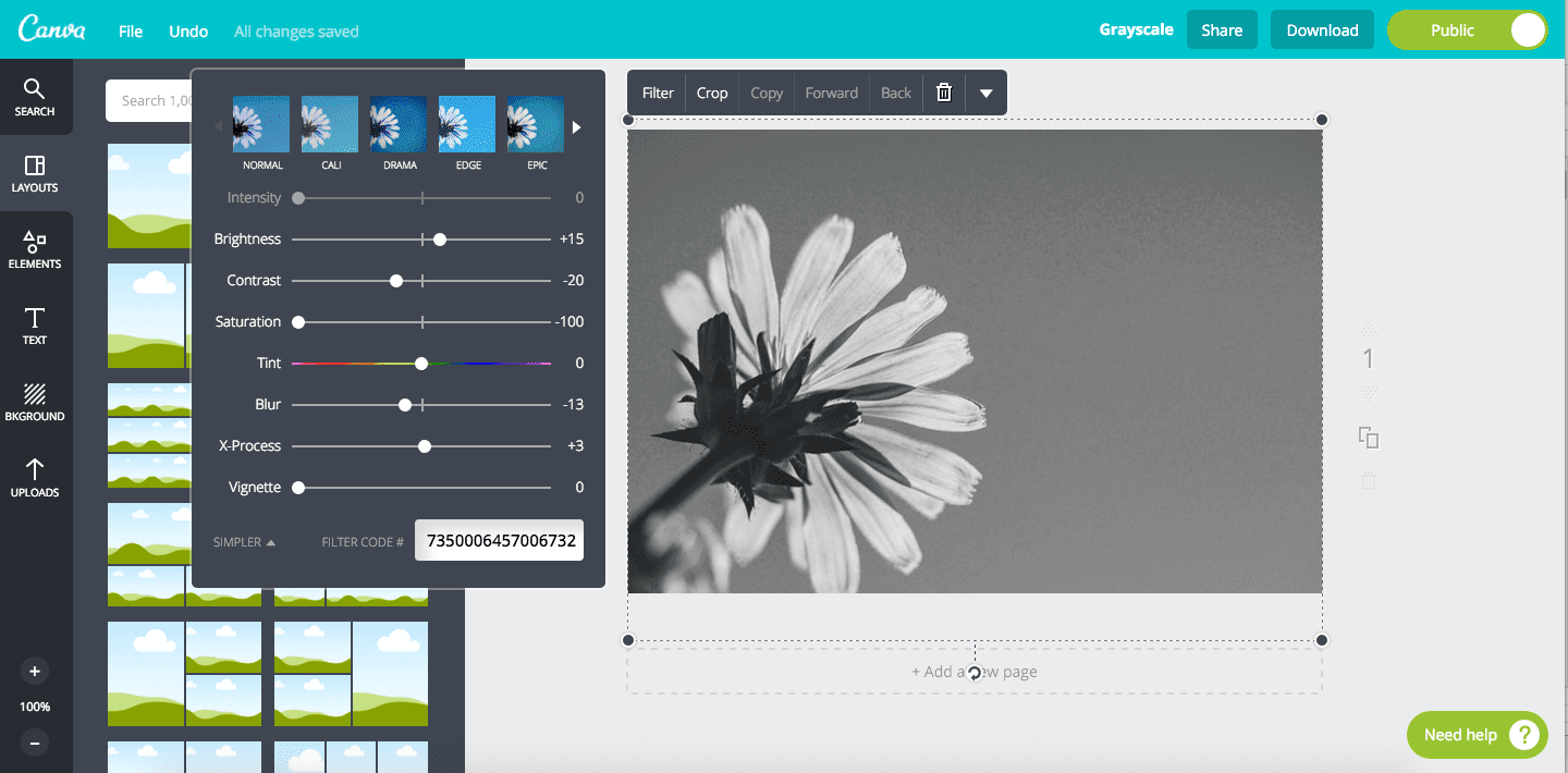 Enhance Canva pictures to achieve brand consistency