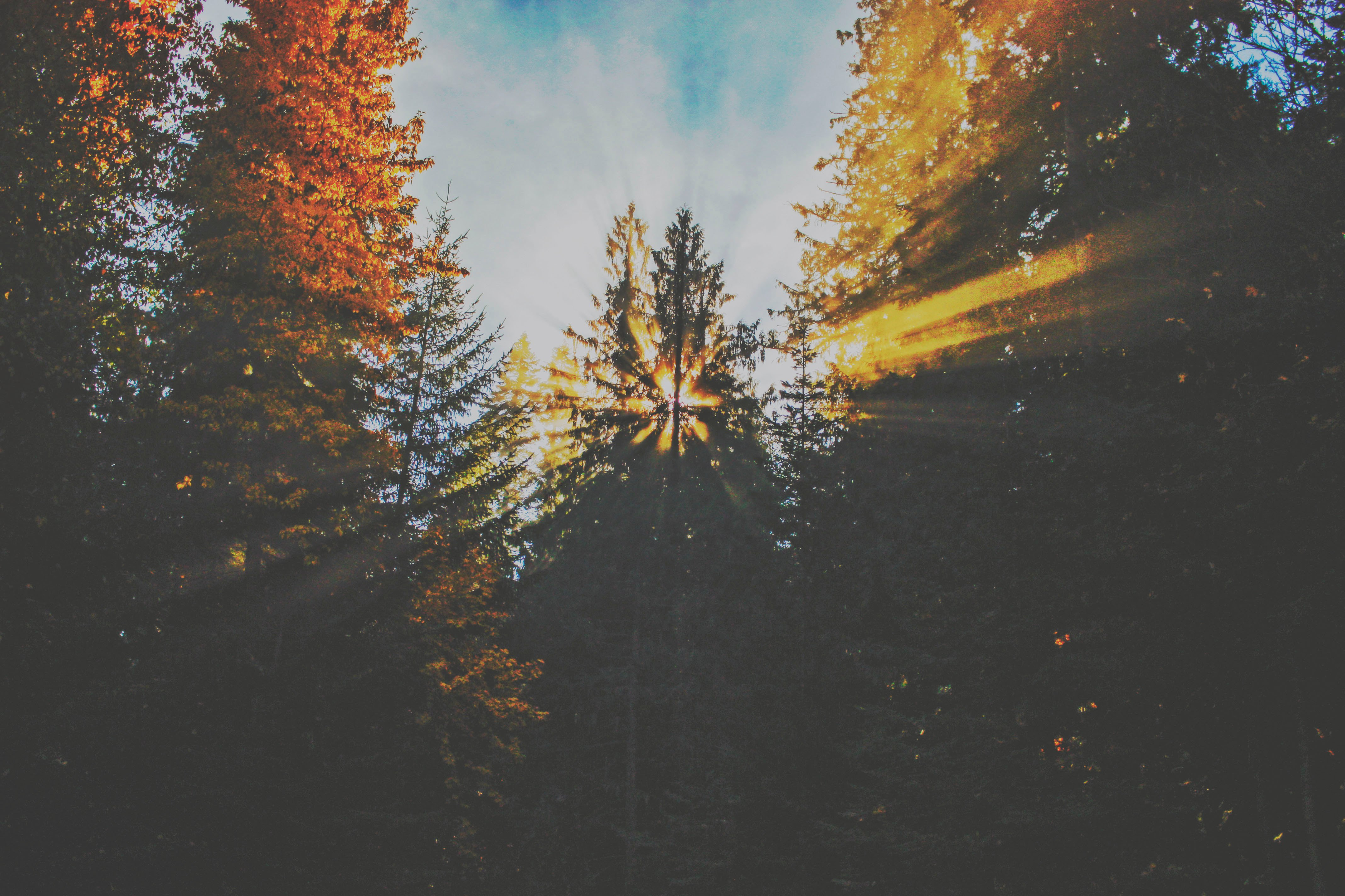 8 effective tips to keep your photo editing consistent