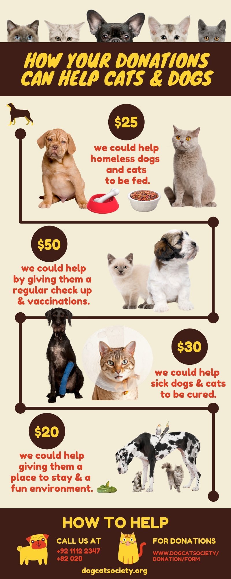 How to make an infographic - ultimate guide