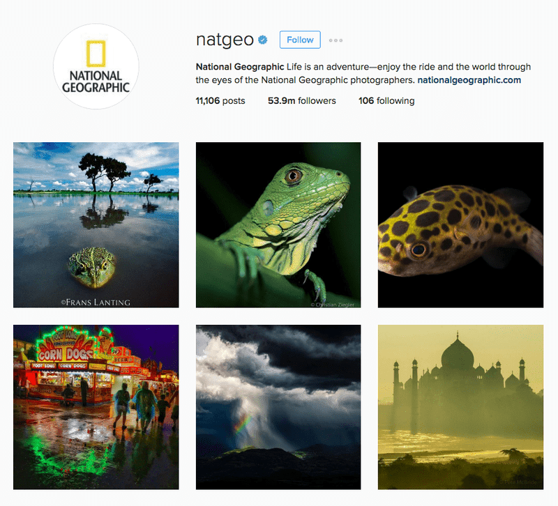 Qué están publicando las 25 mejores cuentas de Instagram (con ...