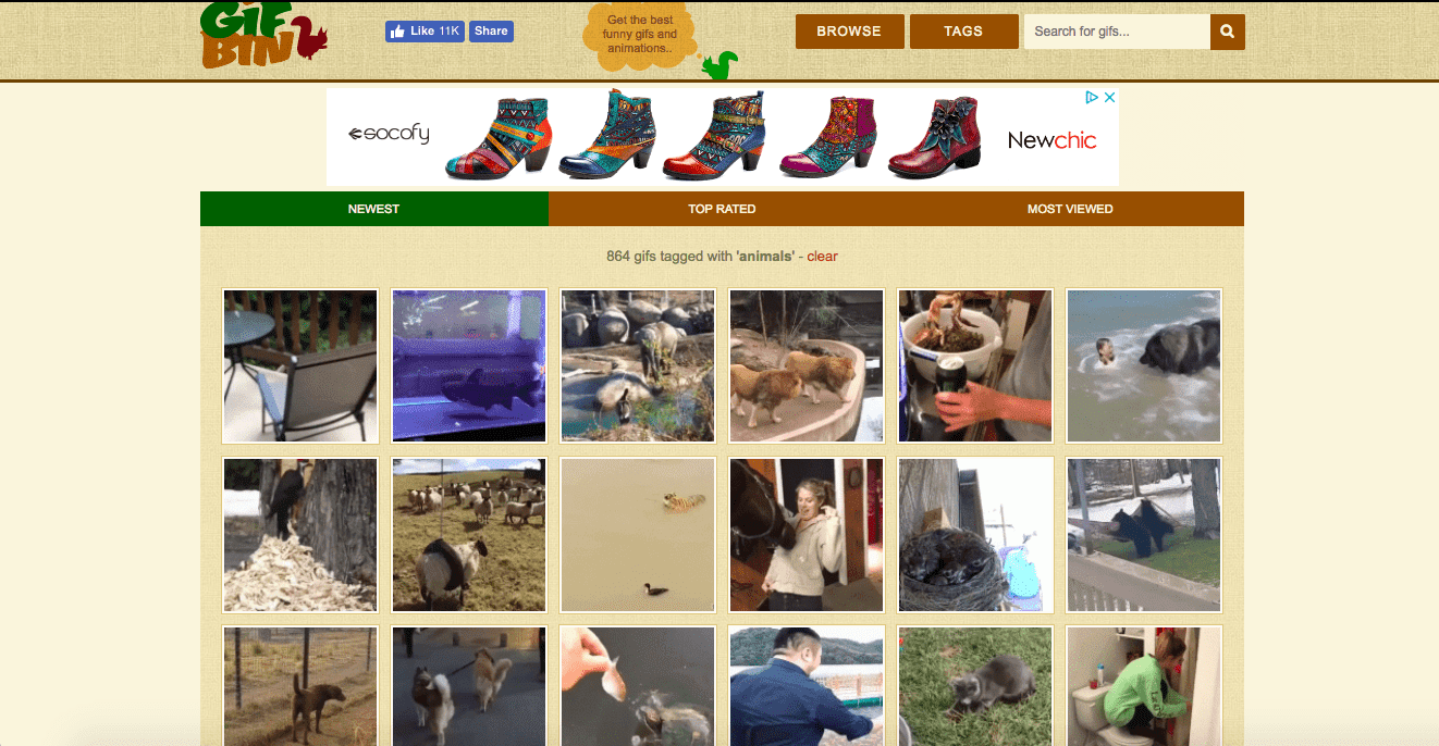 Le guide complet pour trouver et créer des GIFs animés - Canva