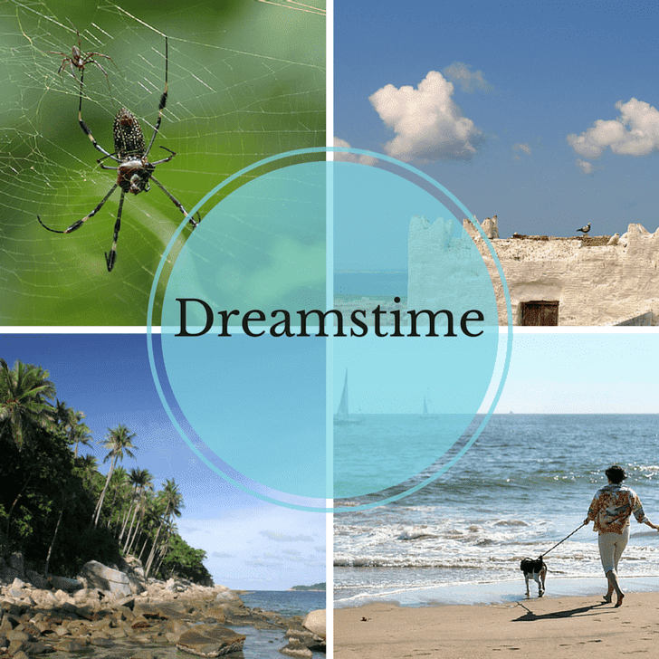 Stok Foto Gratis: 73 Situs untuk Gambar Keren - Canva