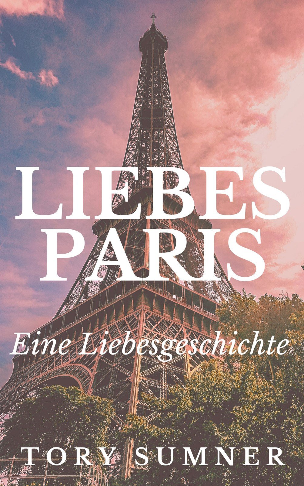 Gestalte und erstelle selbst dein eigenes Buchcover | Canva