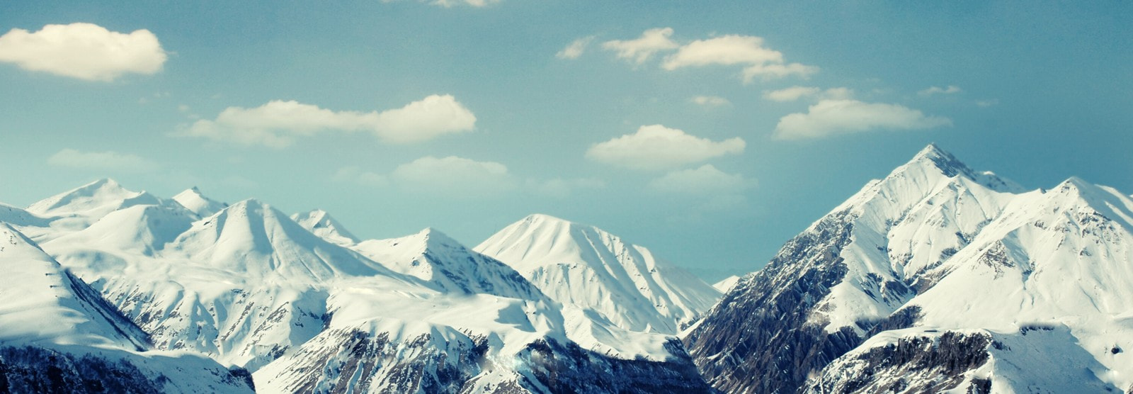 Free Twitter Header Maker - Canva