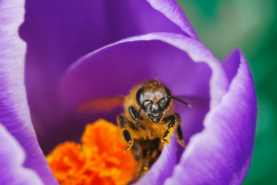 Color Combination Spring Equinox - Canva's Design Wiki