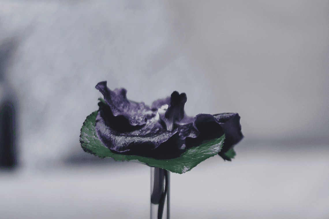 Color Combination Single Vase - Canva's Design Wiki