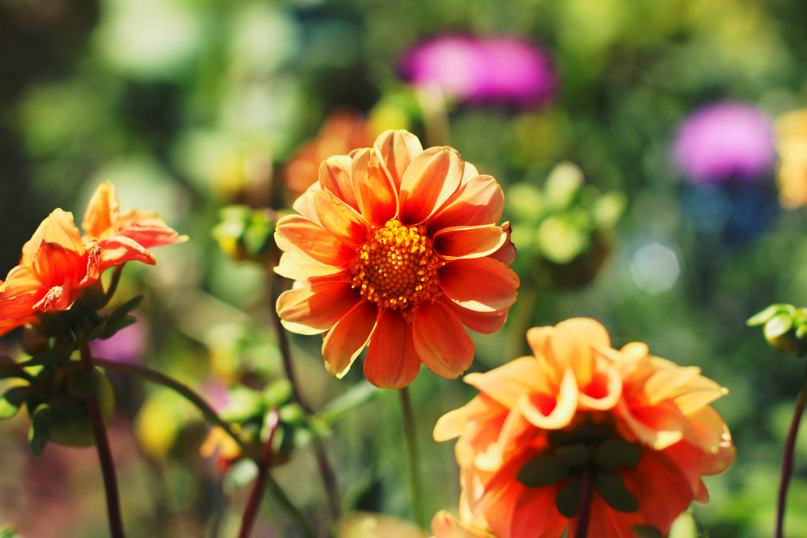 Color Combination Brightness Up Close - Canva's Design Wiki