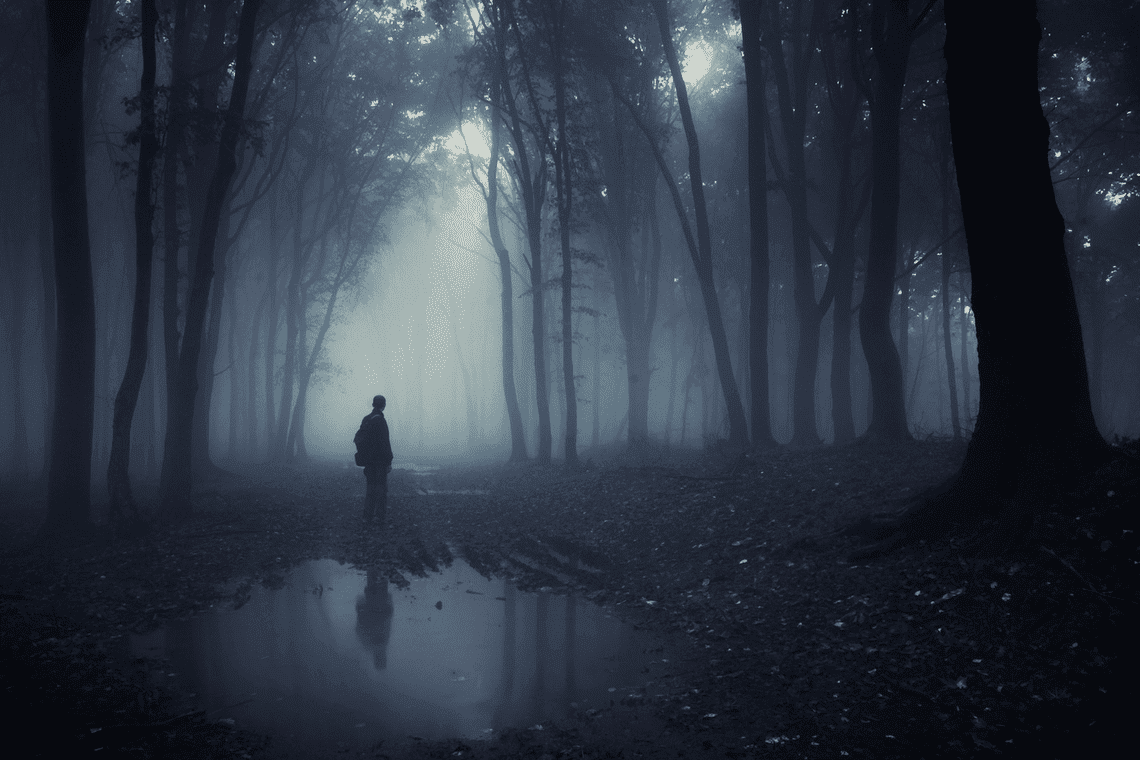 Color Combination Rainforest Vision - Canva's Design Wiki