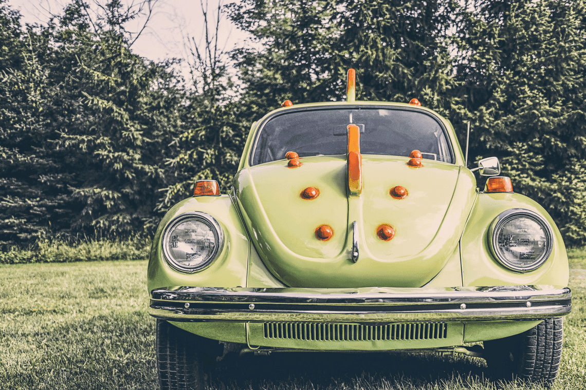 Color Combination Olive Beetle - Canva's Design Wiki