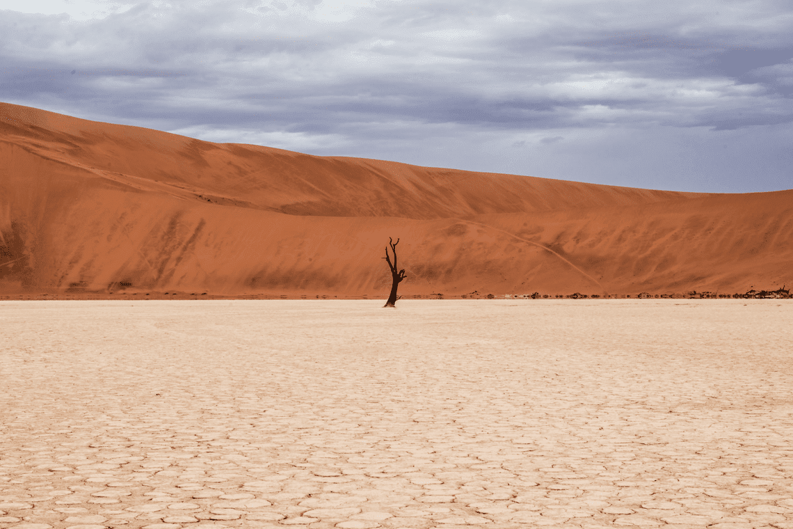 Color Combination Cracked Earth - Canva's Design Wiki