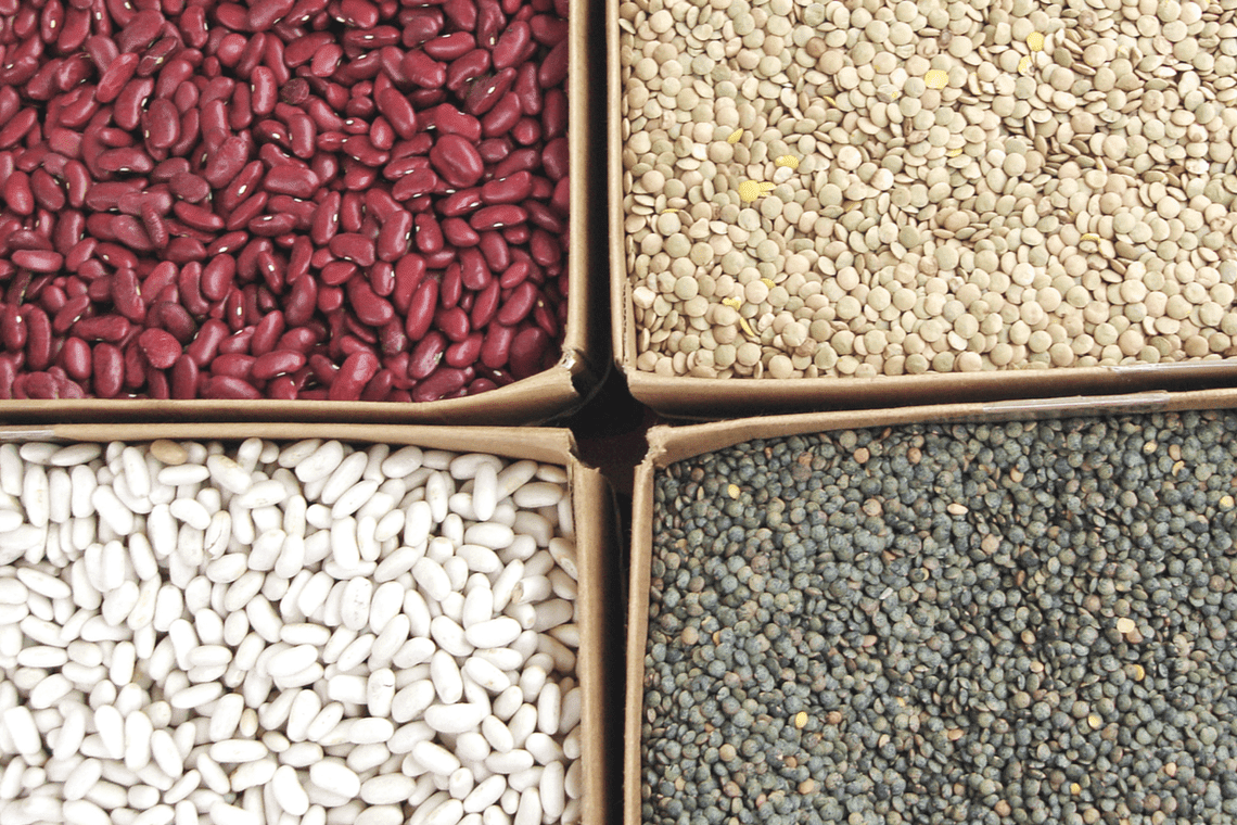 Color Combination Seeds and Beans - Canva's Design Wiki