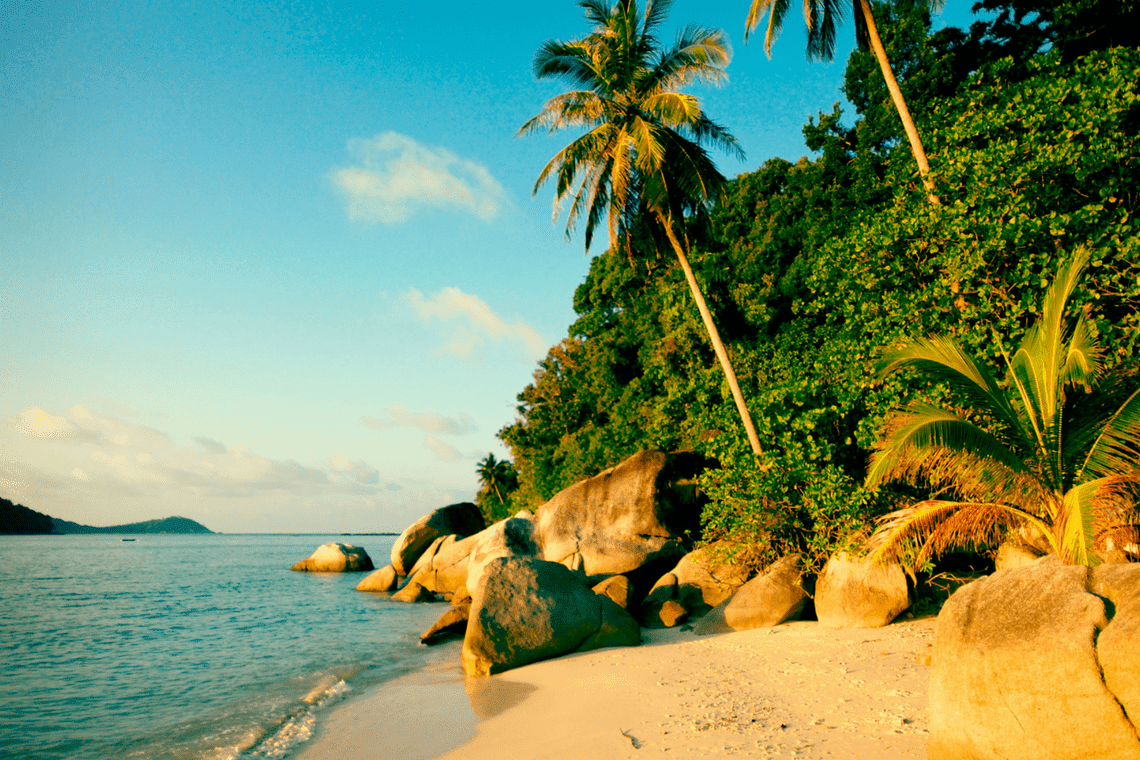 Color Combination By the Boardwalk - Canva's Design Wiki