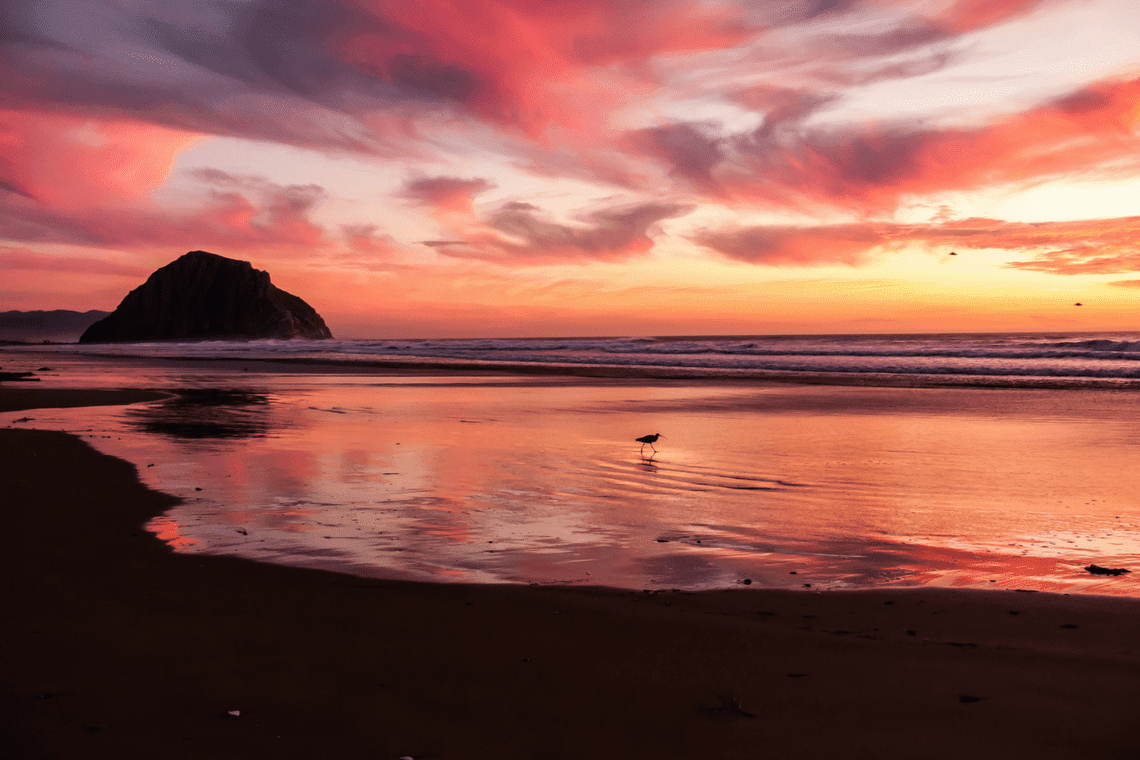 Color Combination Skies at Dawn - Canva's Design Wiki